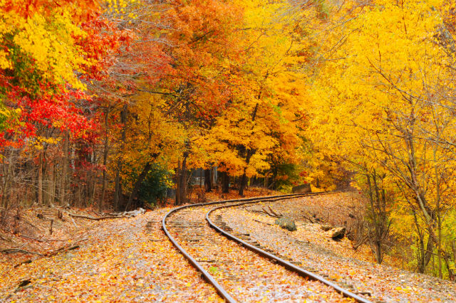 Fall Foliage Train Rides in the Northeast - Your AAA Network