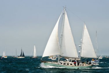 Nearby Summer Regatta Events - Your AAA Network