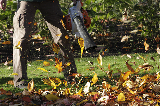 Landscaping Fall Cleanup for Your Home - Your AAA Network