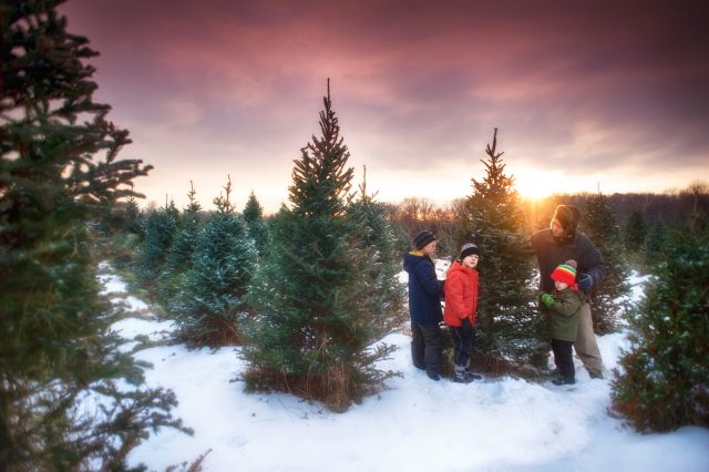 Pro Holiday Photography Tips - Your AAA Network