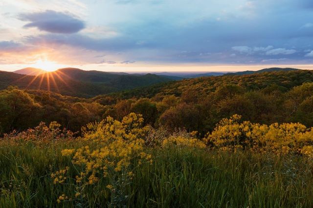 The 5 Best Spring Road Trips - Your AAA Network