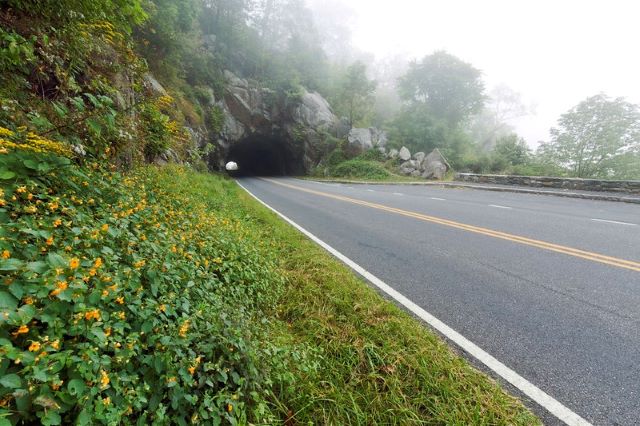 The 5 Best Spring Road Trips - Your AAA Network